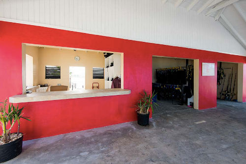 Liquid Diving Adventures - Bohio Dive Resort - Grand Turk